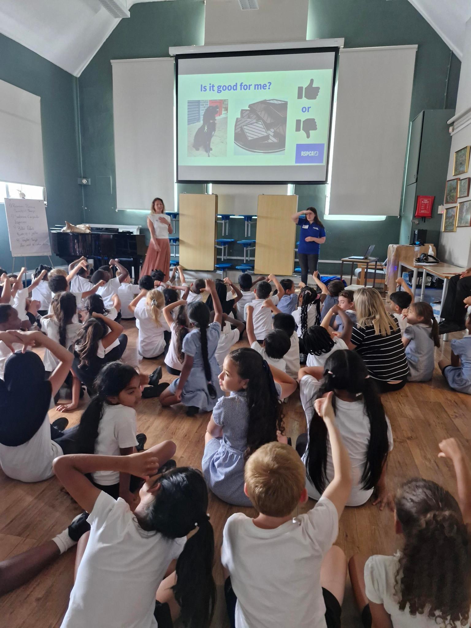 Looking Ahead Together. Changing Lives in 2026 – RSPCA South London ...